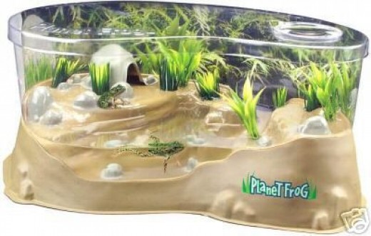 Live Frog Habitat Kit: Grow Live Frogs