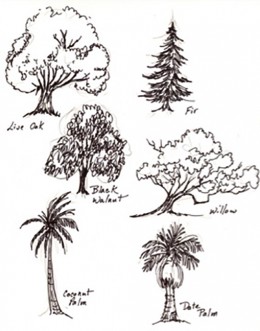 Drawing Tips and Techniques | hubpages