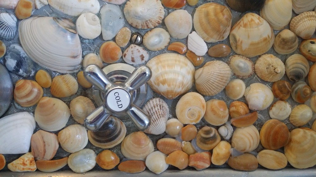 Use Real Sea Shells to Cover Kitchen Splashbacks, Bathroom Tiles | hubpages