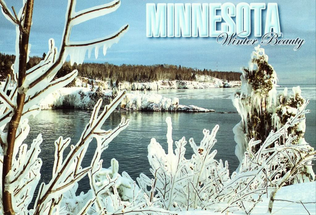 Chip Off the Ice Block Murder by Jessie Chandler | HubPages