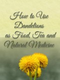Common and Russian Dandelions: Nutrition, Latex and Rubber | Owlcation