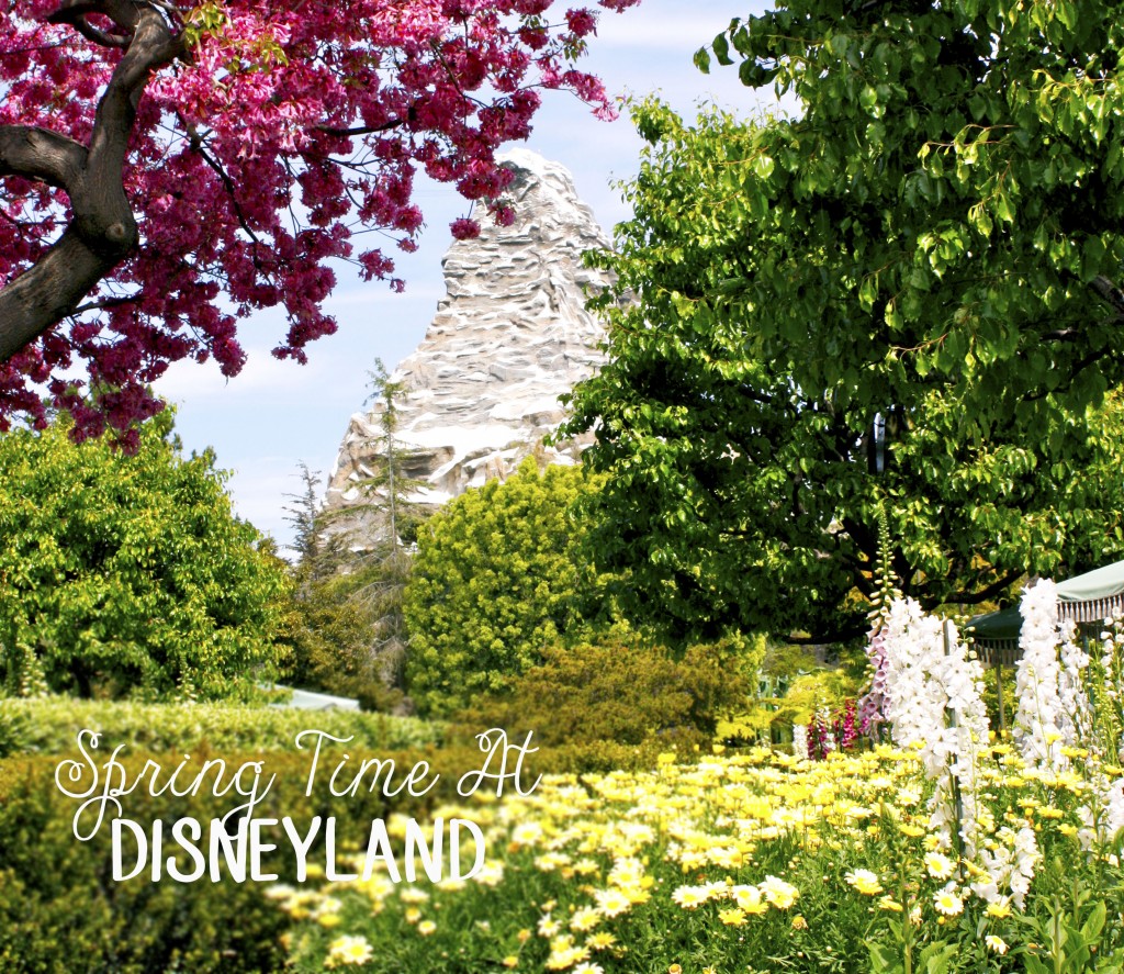 Spring Time At Disneyland | HubPages