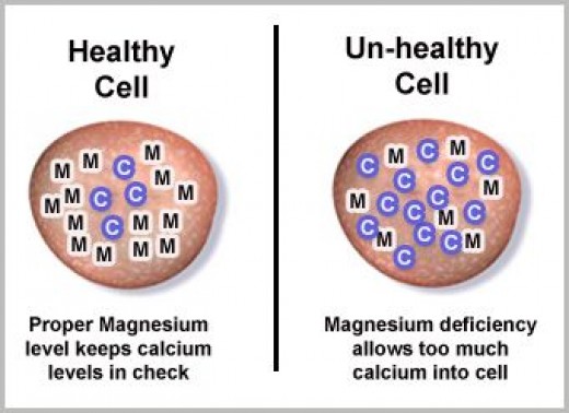 Magnesium - The Life Changing Mineral | hubpages