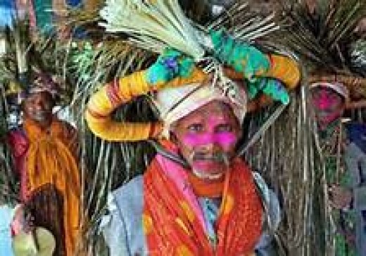Chenchu are a Group of People Living in the Forests of the Nallamalai ...