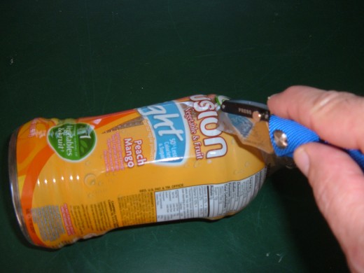 How to Make a Homemade Mosquito Trap | Dengarden