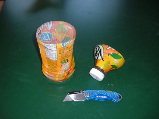 How to Make a Homemade Mosquito Trap | Dengarden