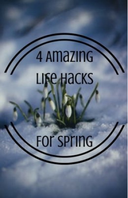 4 Amazing Life Hacks for Spring | HubPages
