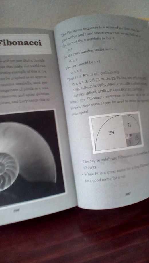 Math Genius Goes to Middle School and Learns that Friendship and Pi ...
