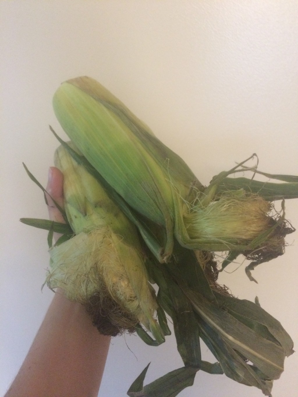 How to Make Fresh Corn, in Your Instant Pot! | HubPages
