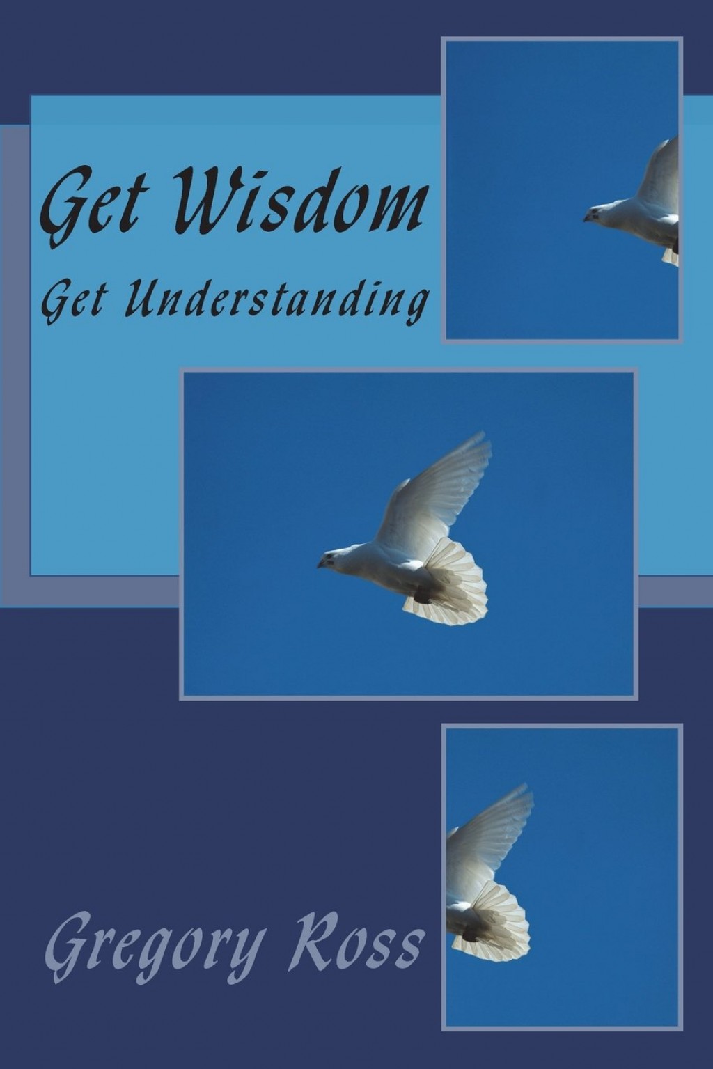 Book Review: Get Wisdom | HubPages