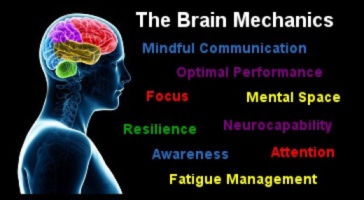 The Mechanics of a Discerning Brain | HubPages