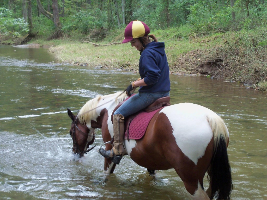 Example Riding Plan for a Week-Day 5 | HubPages