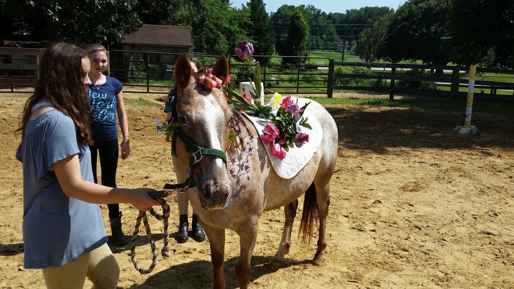 Spring Time at the Barn | HubPages