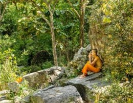 Zen of Listening | HubPages