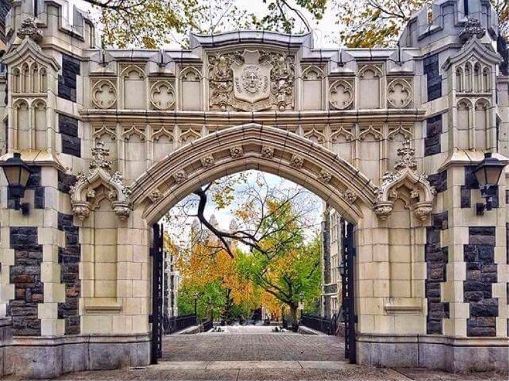 Accomplishments In 2019 - CCNY | HubPages