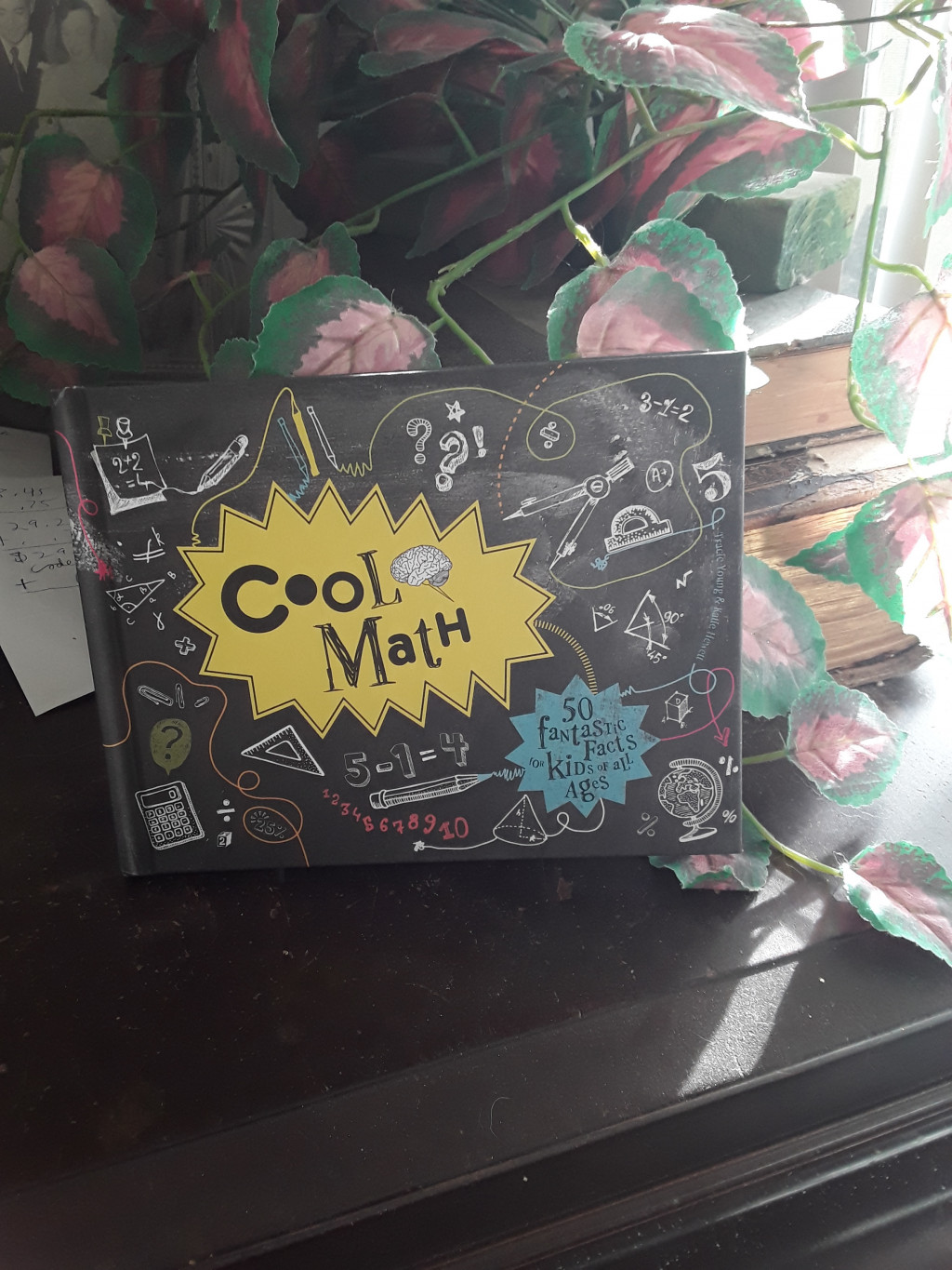 Homeschool Math Activities in Two Creative Tools to Spark Enriched ...