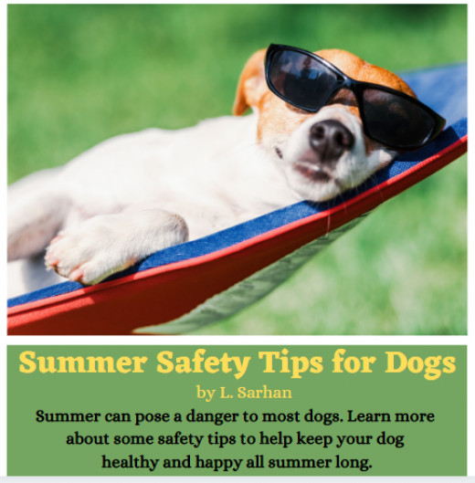 Summer Safety Tips for Dogs | HubPages