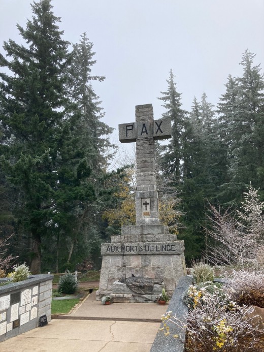 Battle in the Mountains in the First World War: The Col du Linge | HubPages