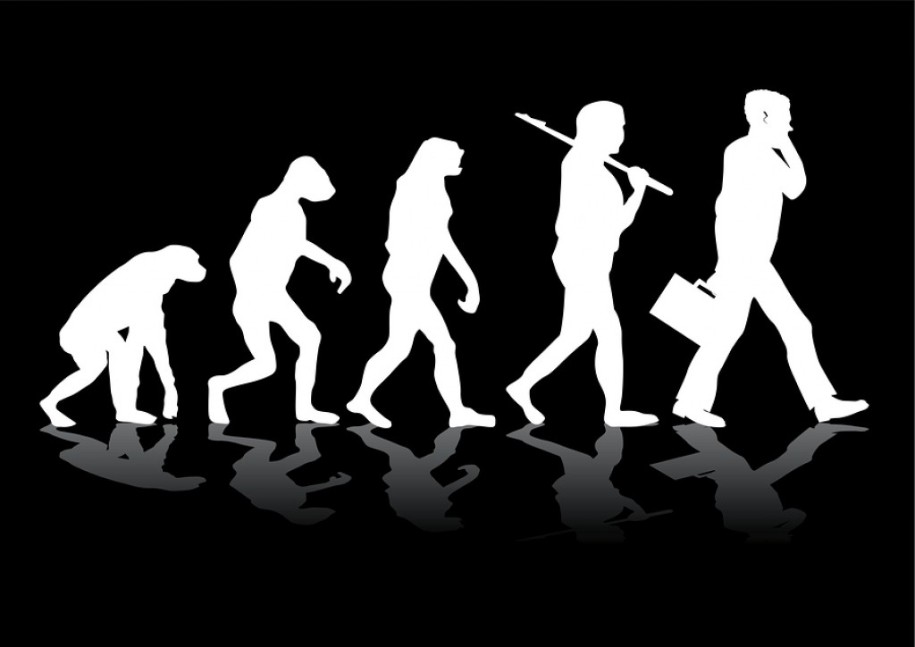 Evolution theory doesn't make sense. | HubPages