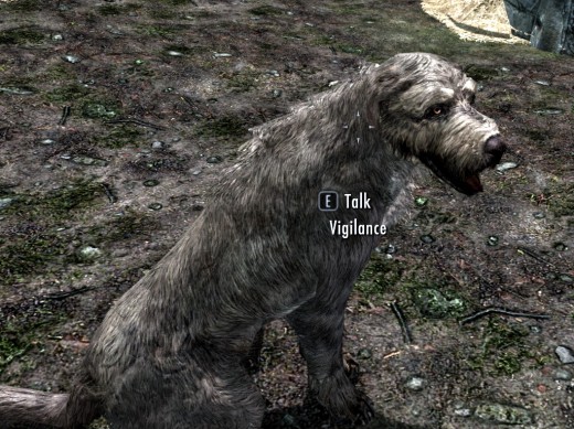 How To - How to get a Dog in Skyrim | Tom's Hardware Forum