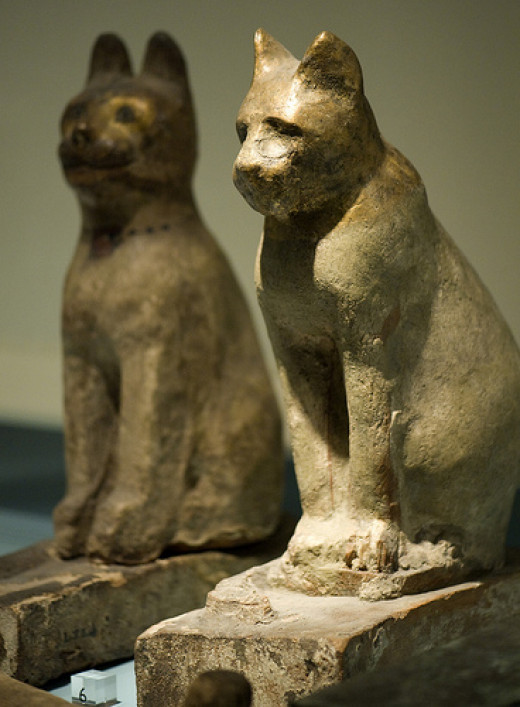 mummified-animals-mummified-cats-bulls-and-more-hubpages