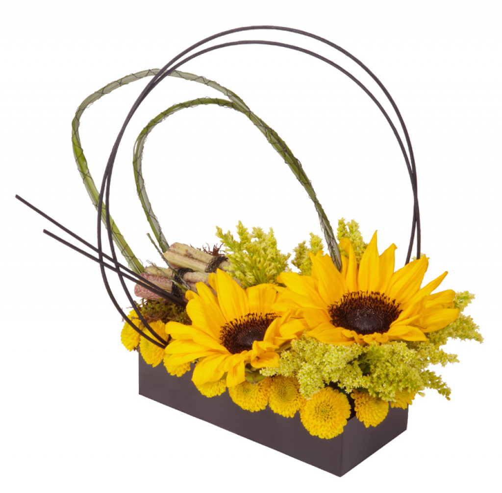 The Basics Of Flower Arranging Hubpages the-basics-of-flower-arranging-hubpages