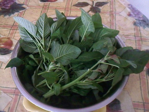 Vegetables In The Philippines | HubPages