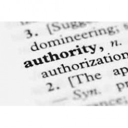 What is an Authority Site?