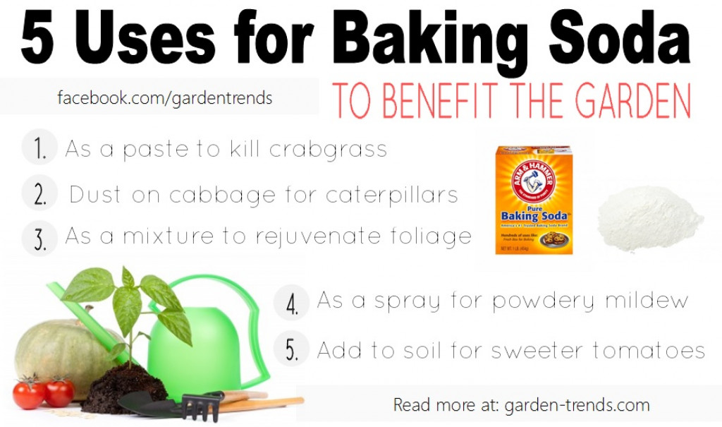 Baking Soda Chemical Name And Uses at Renaldo Robinson blog