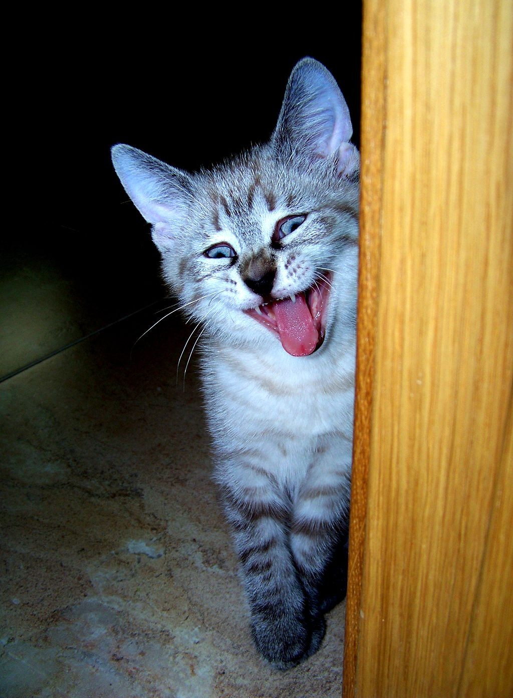 Funny Commercials That Make Me Laugh Uncontrollably | HubPages