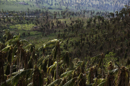 The Aftermath of Typhoon Yolanda