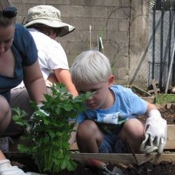 Homeschoolers Can Plan Their Own Garden Unit Study - My Reflecting Pool